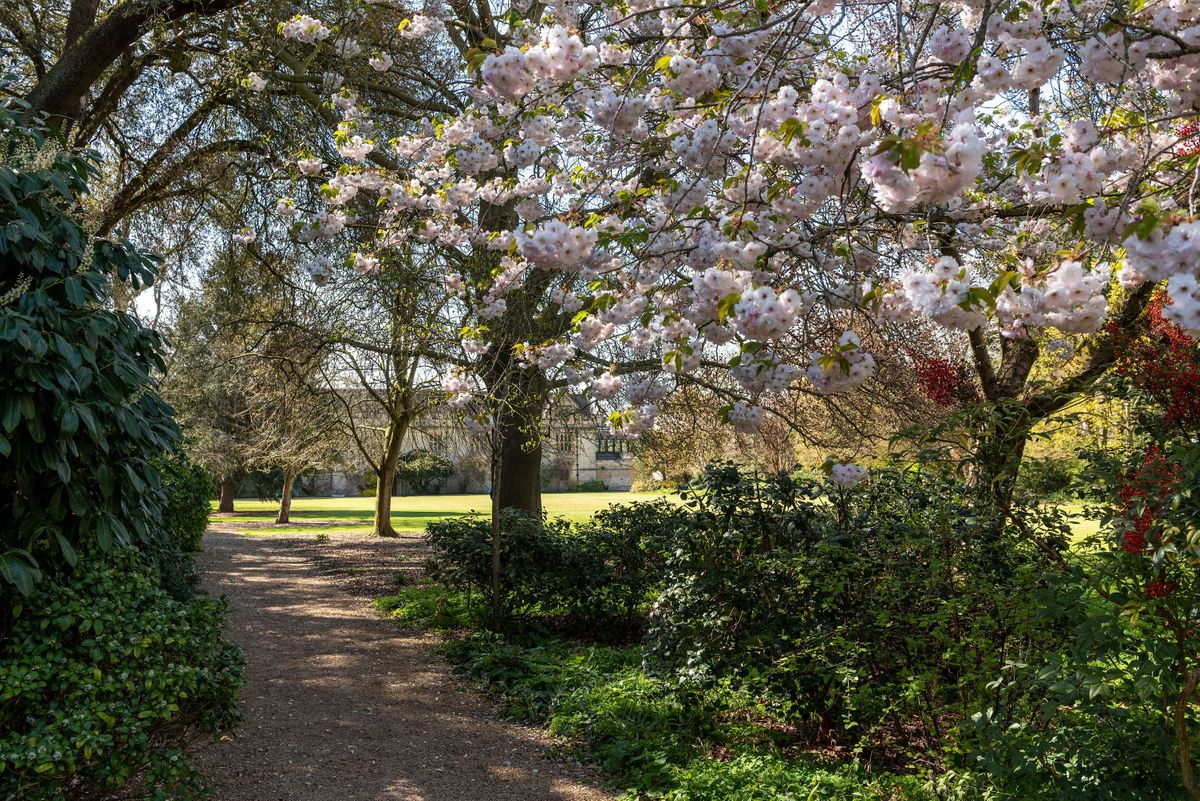 Penson Lecture 2023: Oxford College Gardens - Origins and Innovation at ...