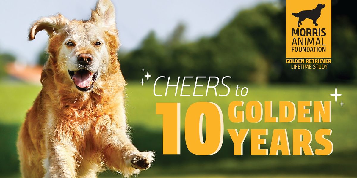 Golden Retriever Lifetime Study 10th Anniversary Celebration at The ...