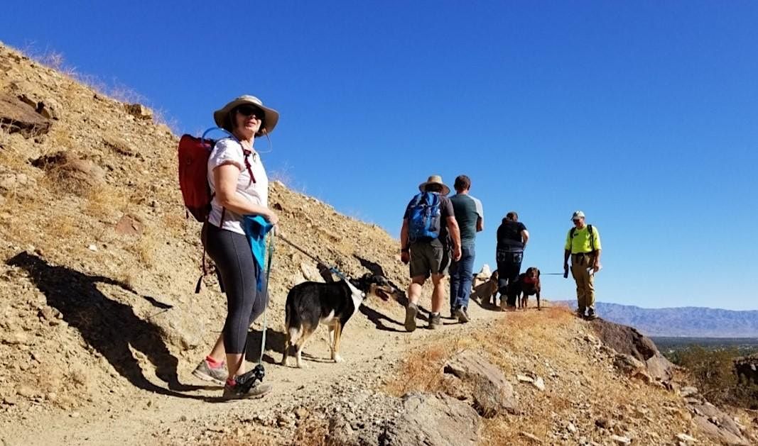 Happy Tails Dog Adventures, Gabby Hayes Trail at Cahuilla Hills Park ...