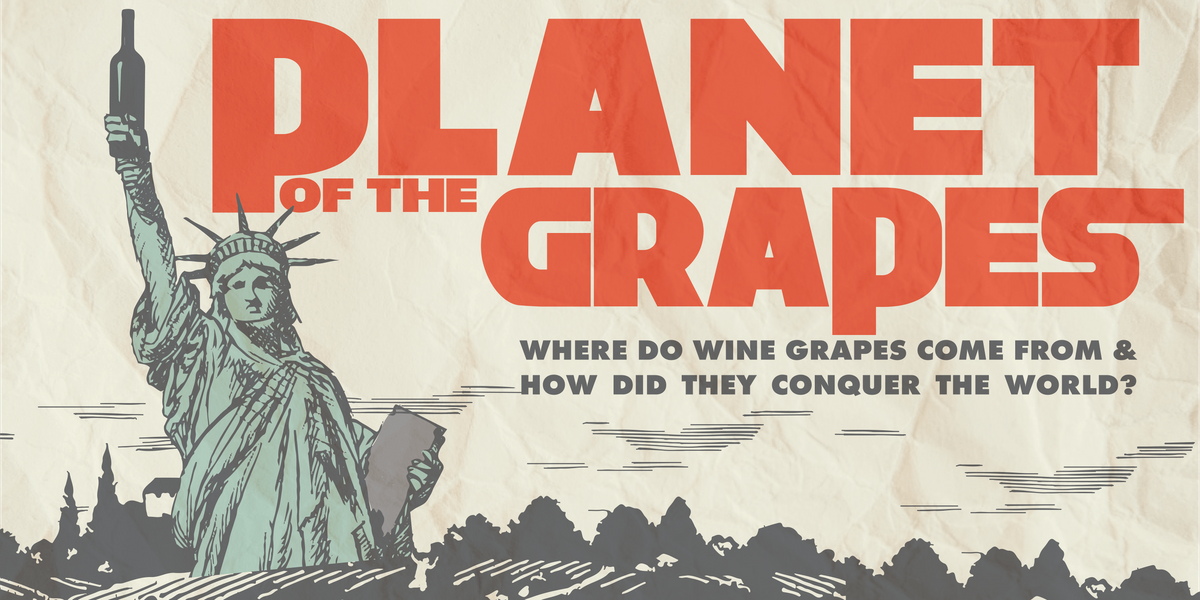 WINE CLASS - Planet of the Grapes: Where did wine grapes come from ...