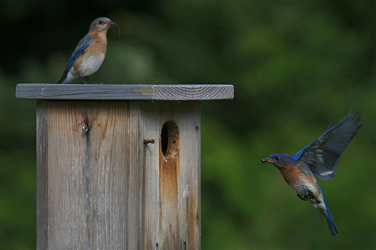 Nest Box Trail Walk at Pope Farm Conservancy at Pope Farm Conservancy ...