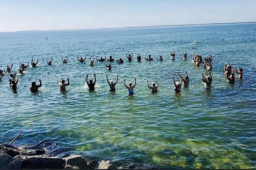 Bison On The Vineyard 2023 Exercise and Swim with the Polar Bears ...