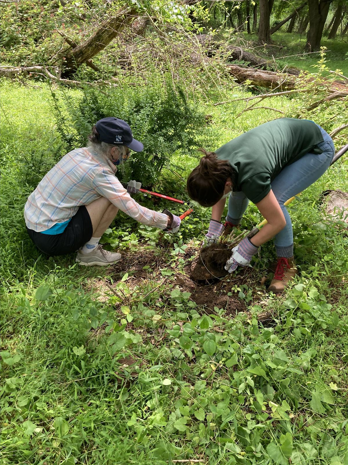 I LOVE My Park Day | Clay Pit Ponds State Park Preserve, Nature ...