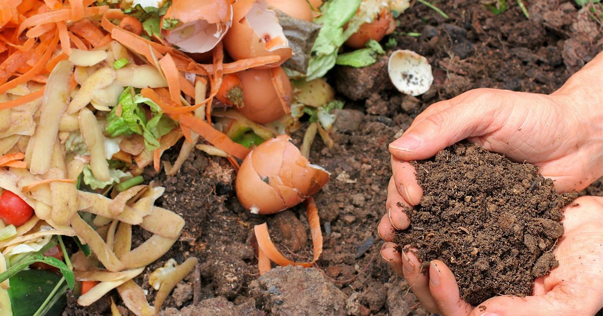 Hands-on Composting Certificate Course | East Capitol Urban Farm ...