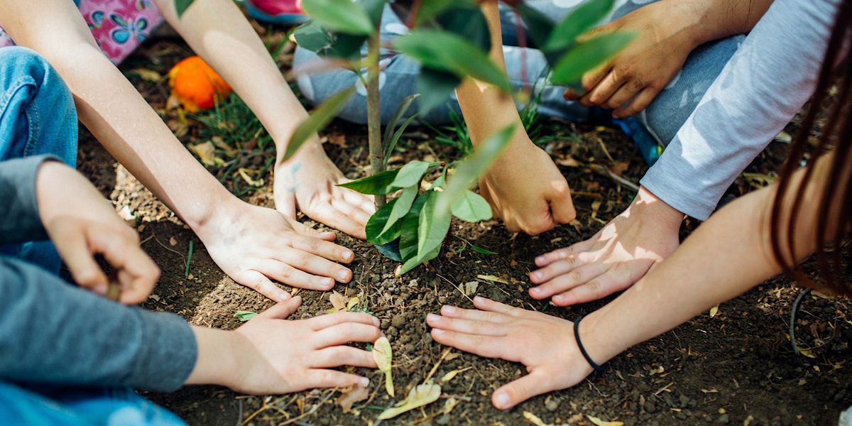 Family Tree Planting Project | Purple Heart Park, Tucson, AZ | March 23 ...