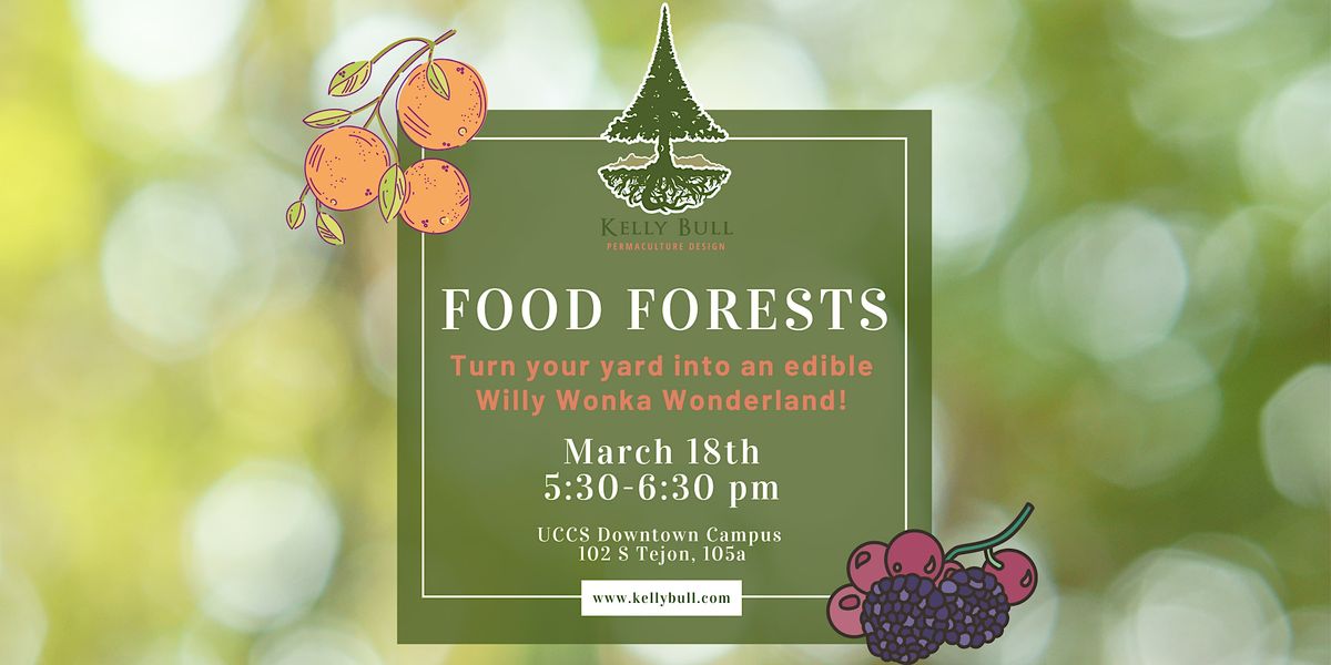 Food Forests: Turn Your Yard into a Willy Wonka Wonderland! | 102 S ...