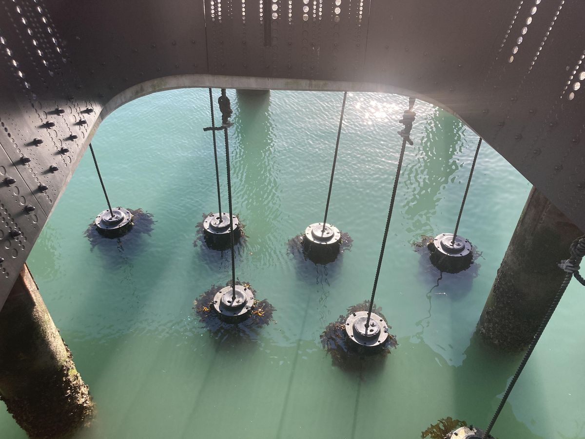 Waterfront Family Art Walk at Takutai Square, Auckland on 8th October, 2022
