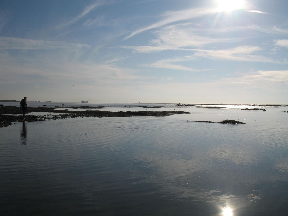 My Local Catch PlanktoScope marine plankton survey at Parton Beach ...
