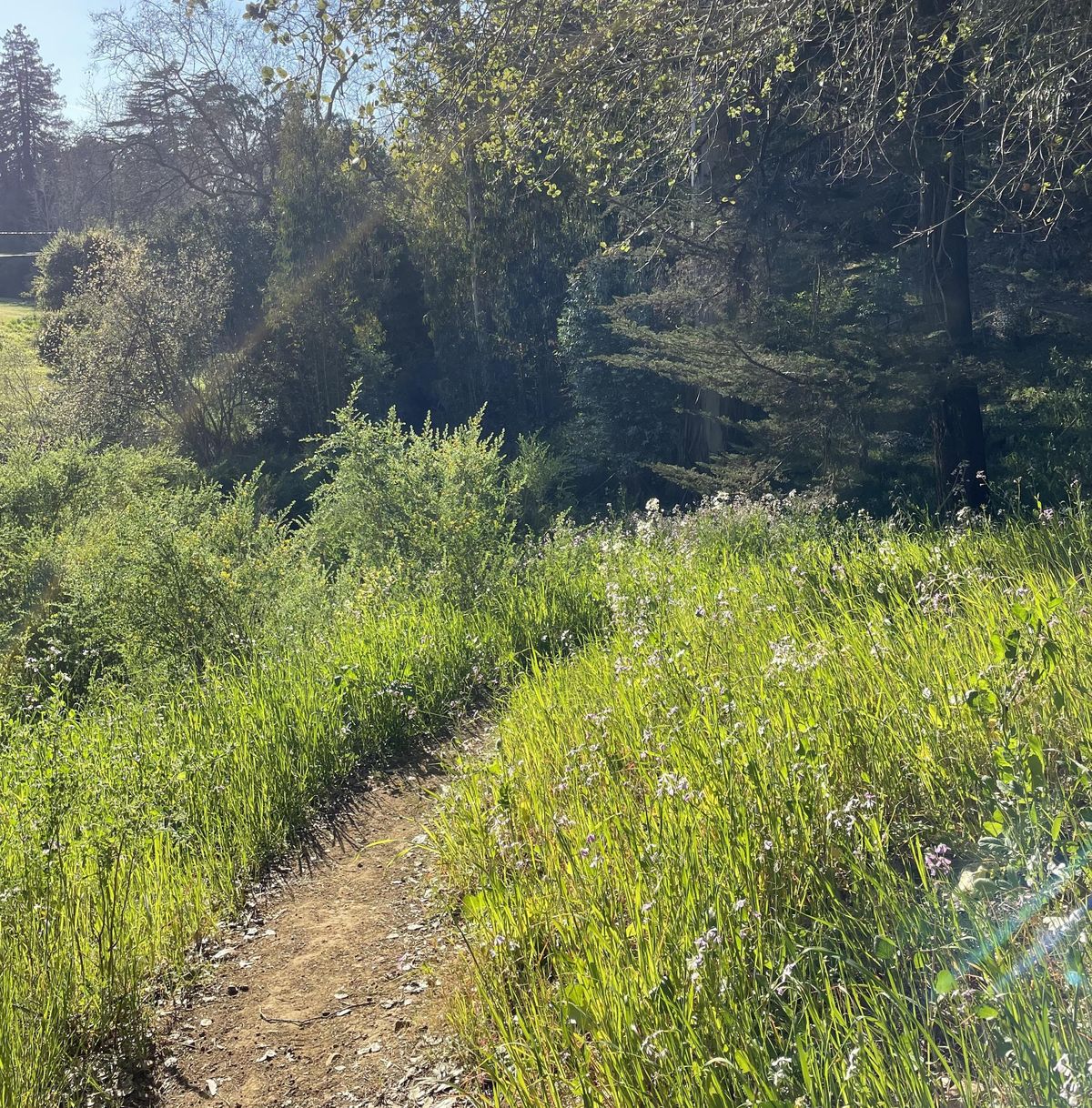 Oakland Zoo: Creekside Story Walk at Arroyo Viejo Creek at Oakland Zoo ...