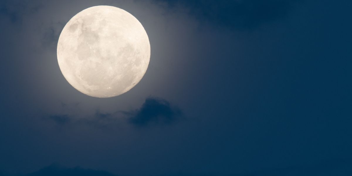 Full Moon Stroll at Turtle Beach (4-H) | Turtle Beach, Sarasota, FL ...