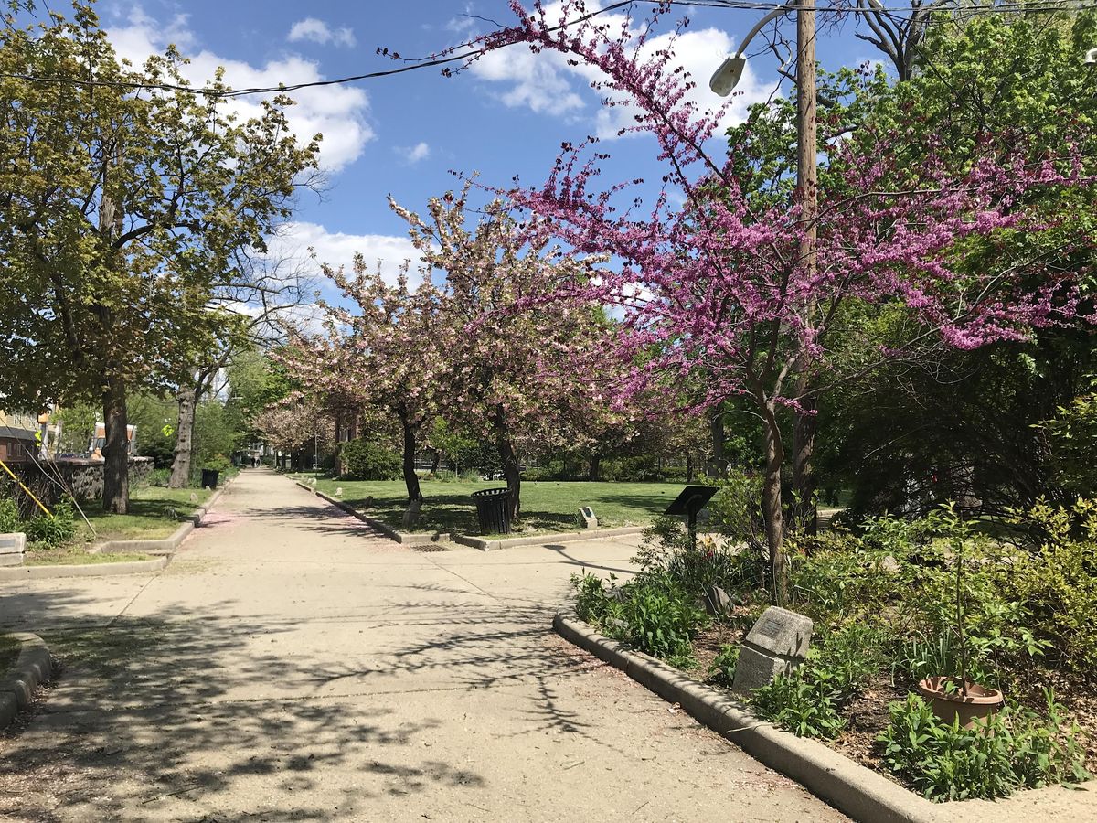 Spring Planting 2023 | Pershing Field Park, Jersey City, NJ | May 13, 2023