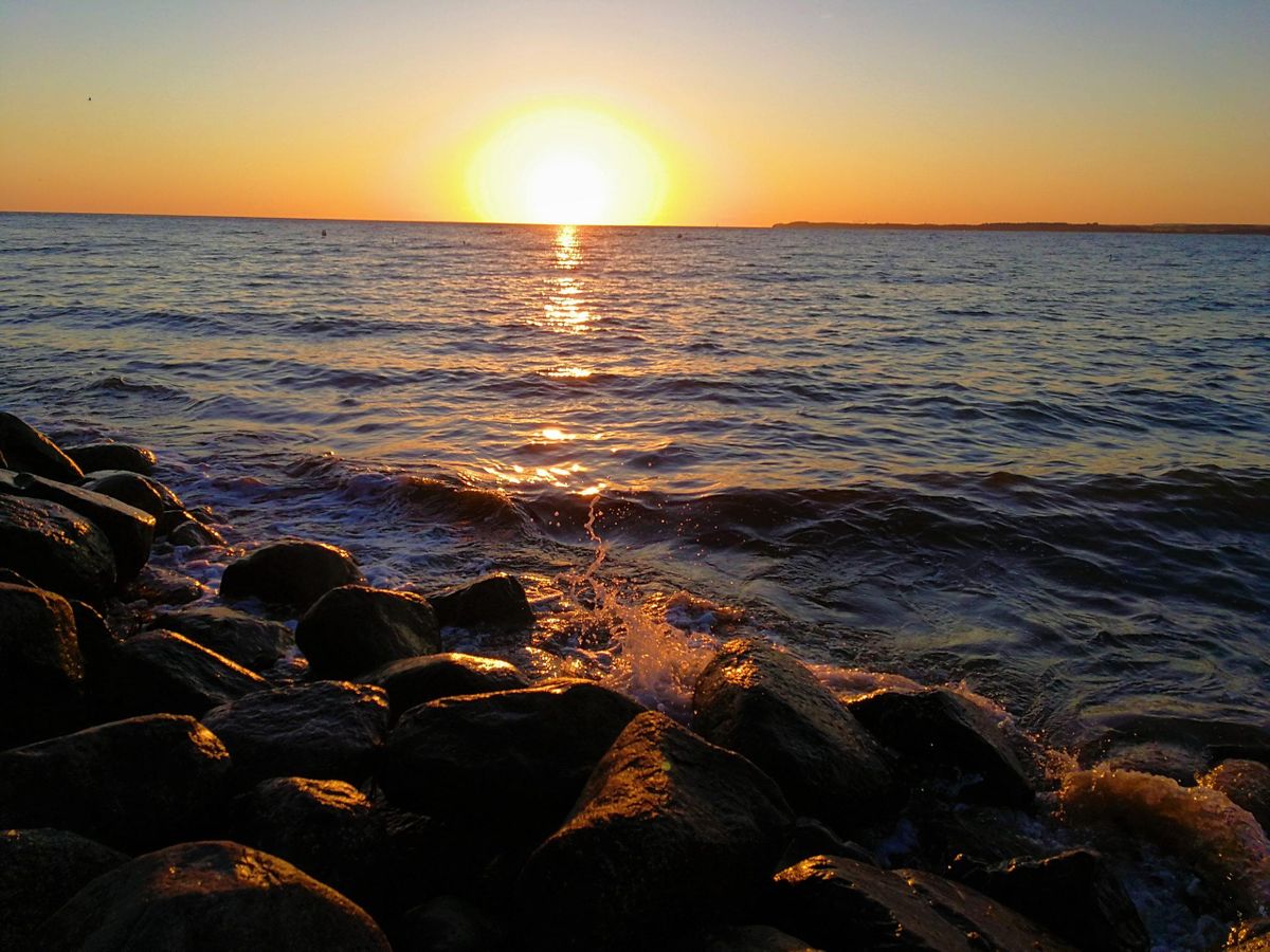 summer-solstice-mindful-meditation-and-wild-swimming-joppa-steps