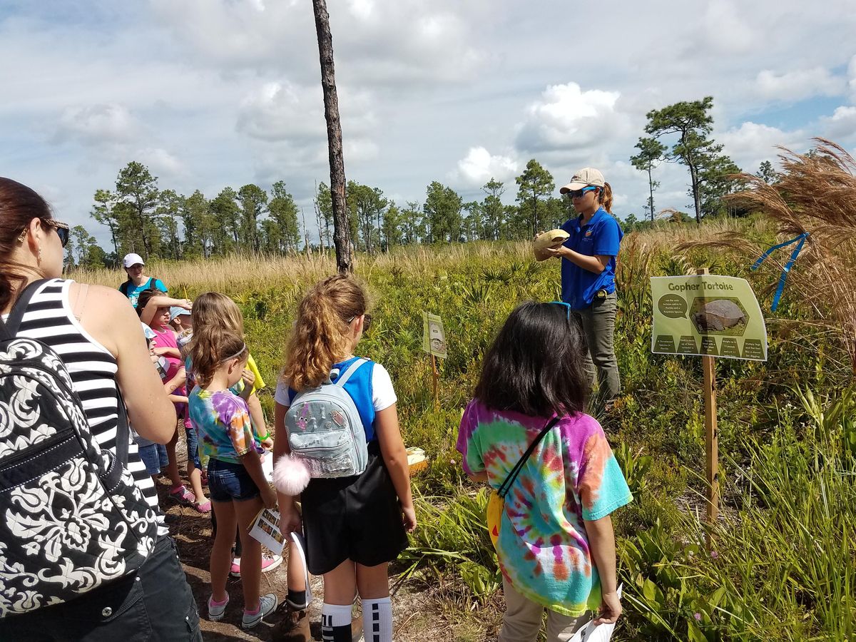 Orange County Jr. Naturalist - Gopher Tortoise Day | Isle of Pine ...