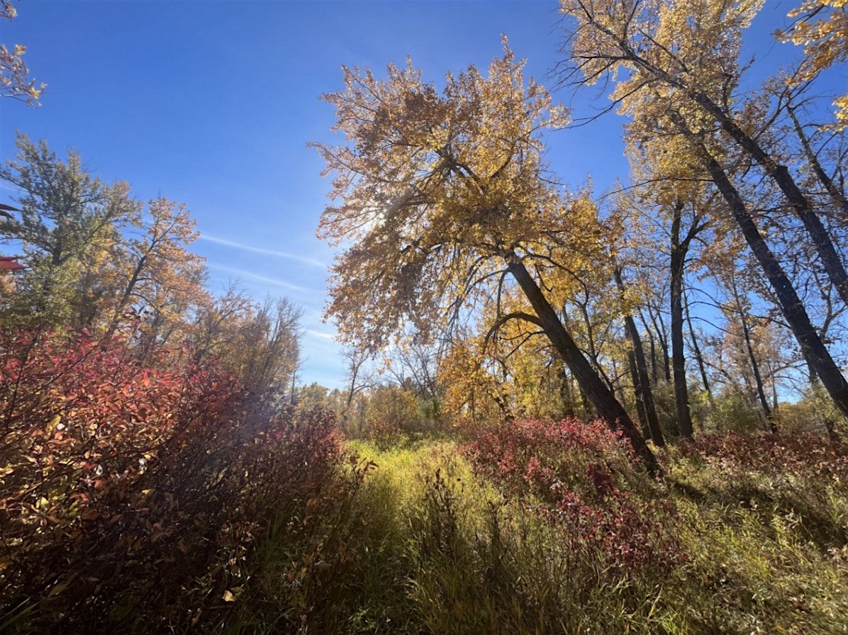 Good Grief: Nature Walk Through Grief and Loss - Fall 2024 | 15975 Bow Bottom Trail SE, Calgary ...