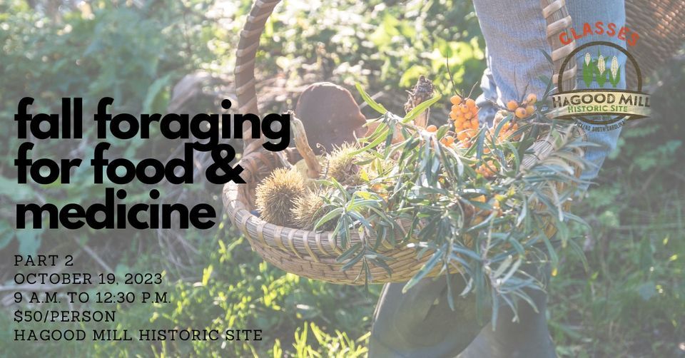 Fall Foraging for Food & Medicine Part 2 | Hagood Mill Historic Site ...