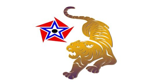 Texas BeyBlades - Season of the Tiger at Blackstone LaunchPad - UT ...