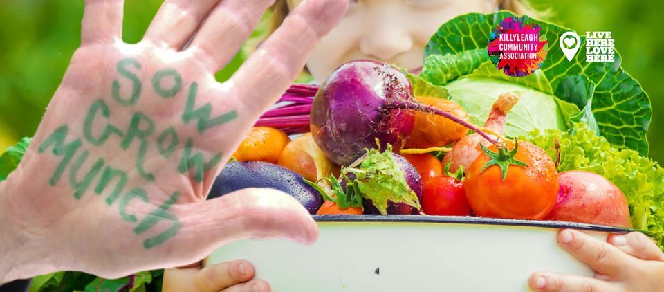 Sow Grow Munch - Workshop Two at Killyleagh Bridge Centre, Newtownards ...