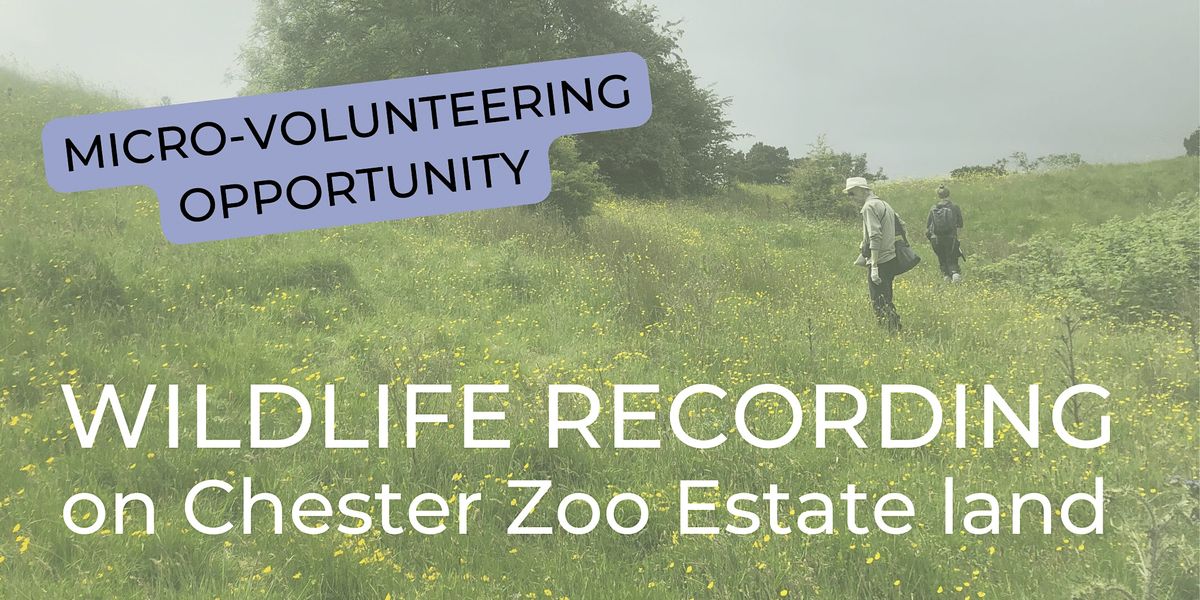 Micro-volunteering opportunity - Wildlife Recording Day (28 June ...