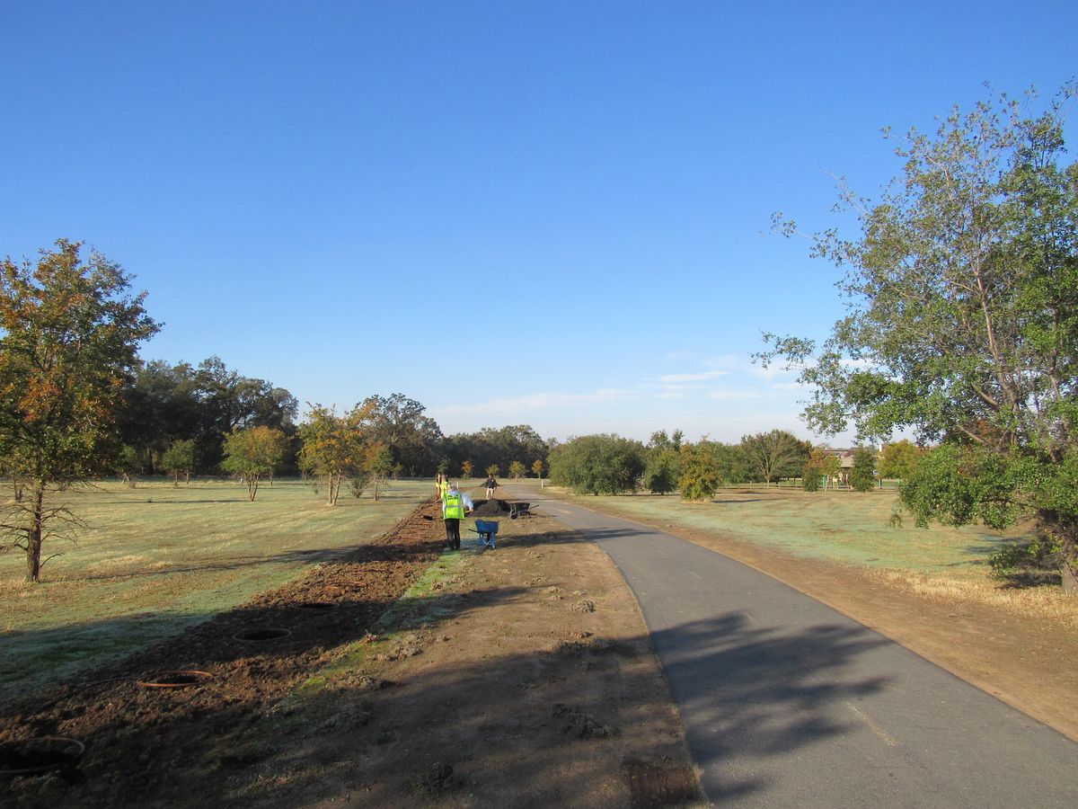 Pollinator Hedgerow Habitat Maintenance | 4814 Oreanna Ct, Roseville ...