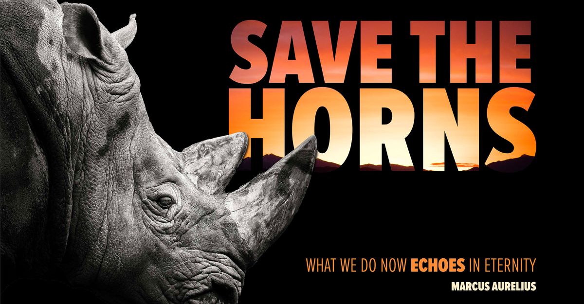 World Rhino Day VIP Event 2022 at Wilson Creek Winery, Temecula on 24th ...