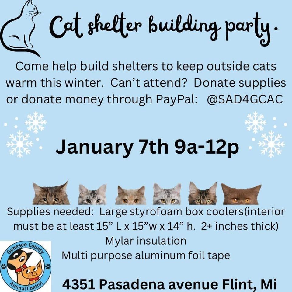 January cat shelter Build | Genesee County Animal Control, Flint, MI ...