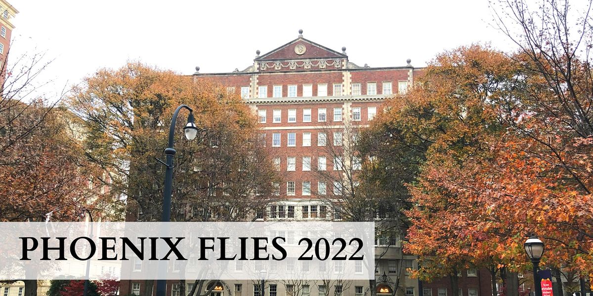 PHOENIX FLIES 2022 | Midtown Tour: Walkin’ Peachtree Street at The ...