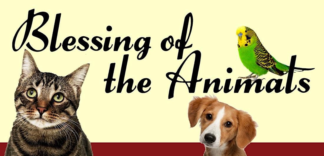Blessing of the Animals - Westminster Church, Peoria IL at Westminster ...