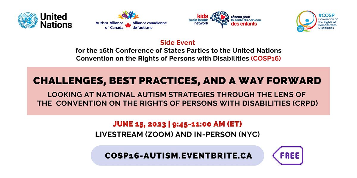 UN Side Event: National Autism Strategies through the Lens of the CRPD ...
