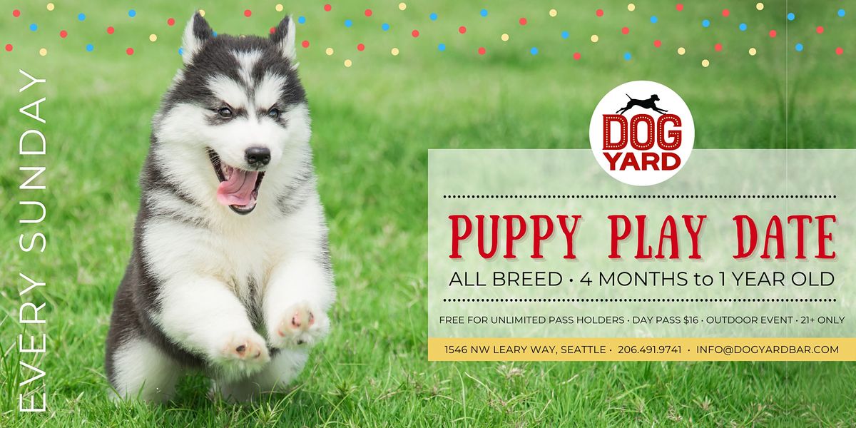 Puppy Play Date Meetup at the Dog Yard Bar in Ballard - Sunday August ...