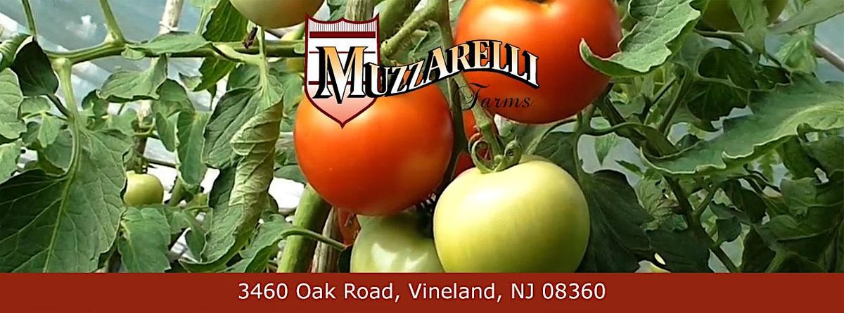 Muzzarelli Farms farm market - Join Us For Our Grand Opening ...