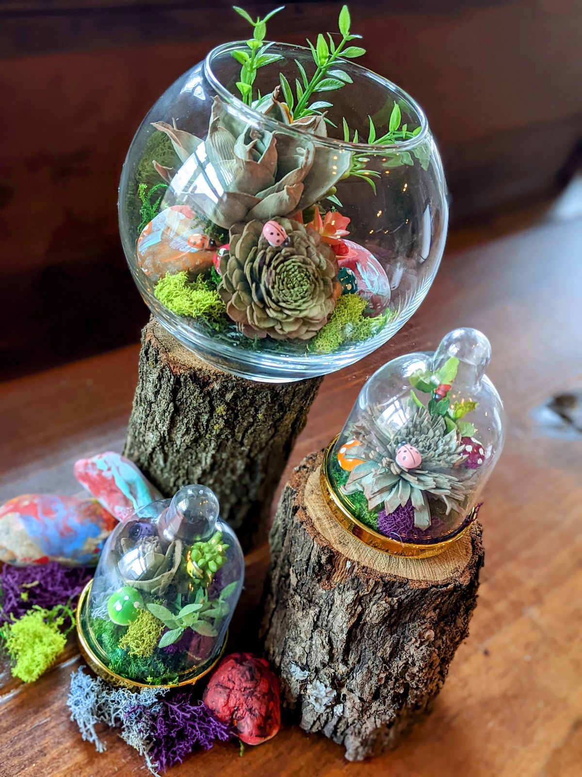 Kids Terrarium Class at Common Dwellings, Bentonville on 14th May, 2022