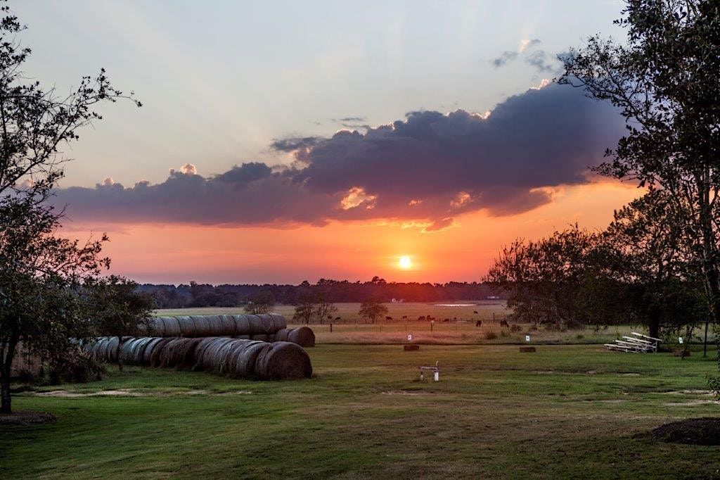 DAOU Vineyard Wine Event at Houston Oaks: Sep 9th and 10th, 2022 at The ...