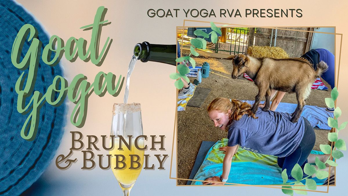 Goat Yoga Brunch & Bubbly at Pactamere Farm, Glen Allen on 25th ...