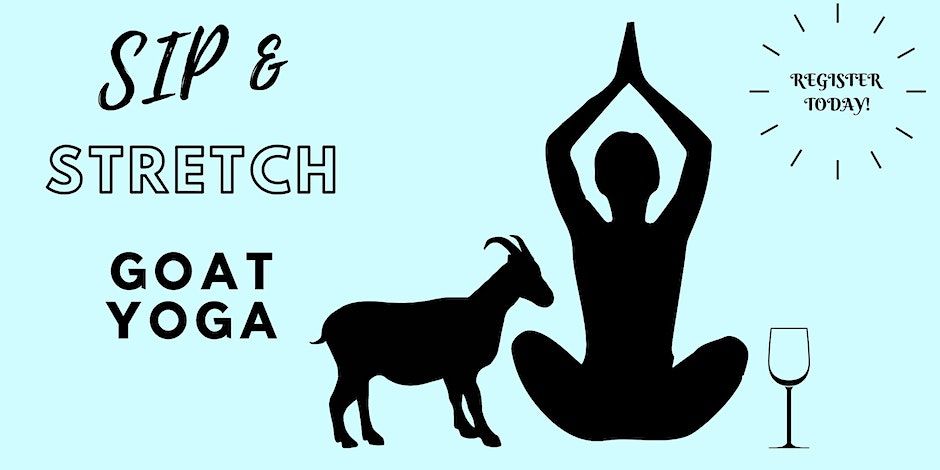 Sip & Stretch Goat Yoga at Phillips Farms of Cary, NC on 14th October, 2022
