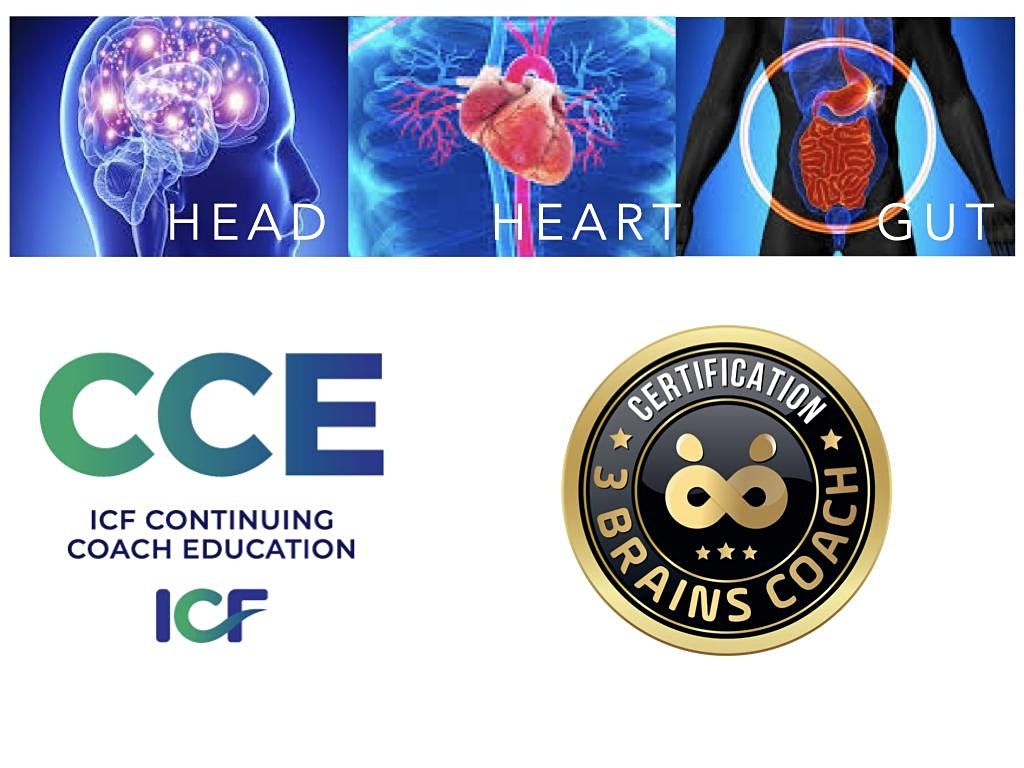 3 Brains (Head, Heart and Gut) Coach Certification 30 ICF CCEUs at ...