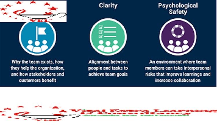Methodologies for Developing High Performing Teams in Organizations at ...