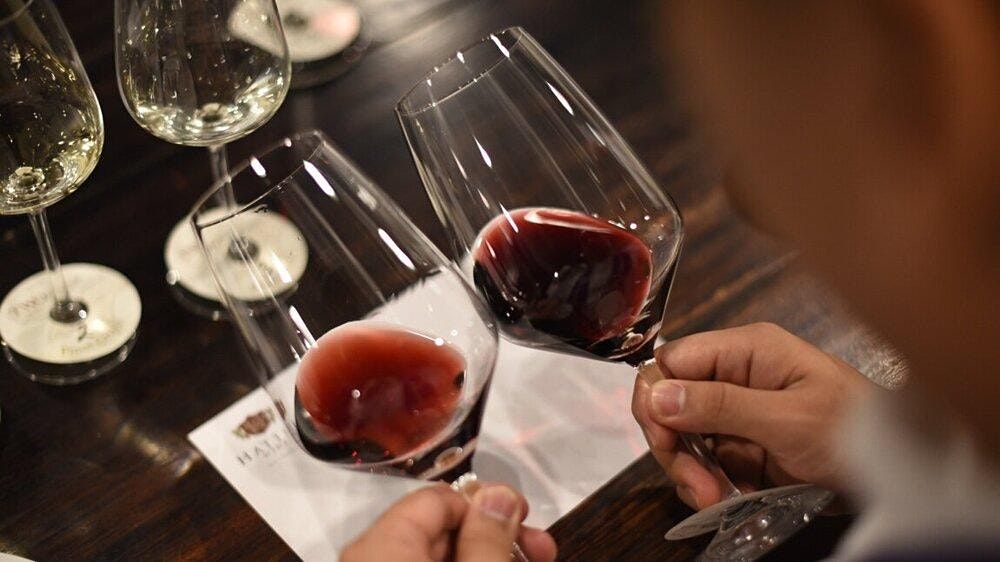Progressive Wine Tasting & Pairing Experience | Voghera Ristorante ...