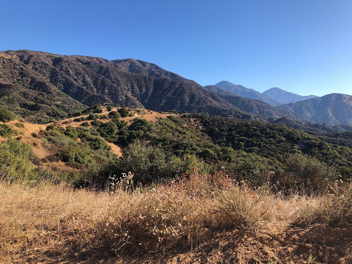52 Hike Challenge #OptOutside Hike Claremont Hills Loop at Claremont ...