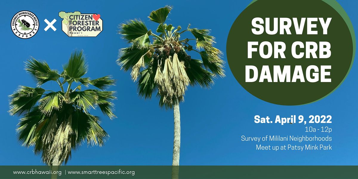 Tree Mapping for CRB Damage (CRB Response x Smart Trees Pacific) at ...