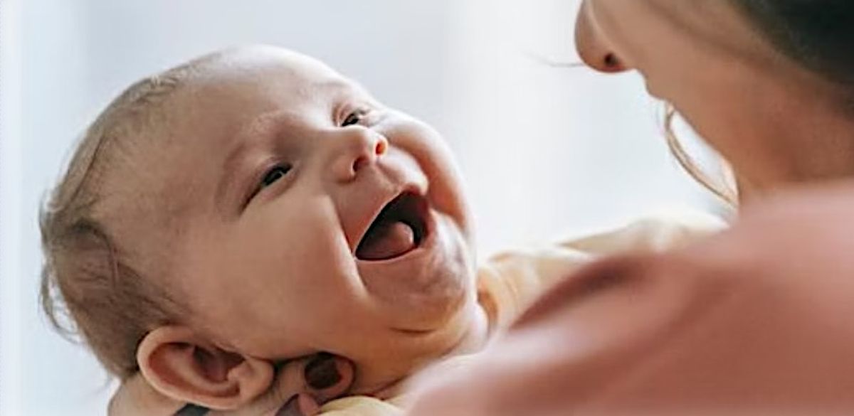 The National Maternity Hospital Blended GP Study Day 2023 at The ...