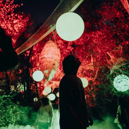 Forest of Shadows: An Immersive Dark Tale at Trinity Forest Adventure ...
