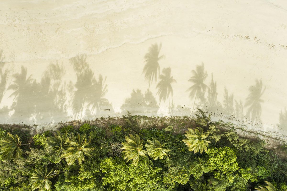 Expedia Group TNQ Tourism Industry Excellence Awards 2023 at Cairns ...