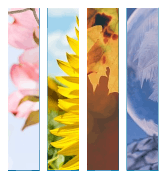 SOL Collective Presents Seasons of Change: Stories by and about Black ...