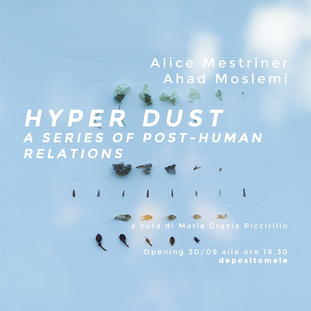 HYPER DUST – A series of post-human relations at Via Carlo Ilarione ...