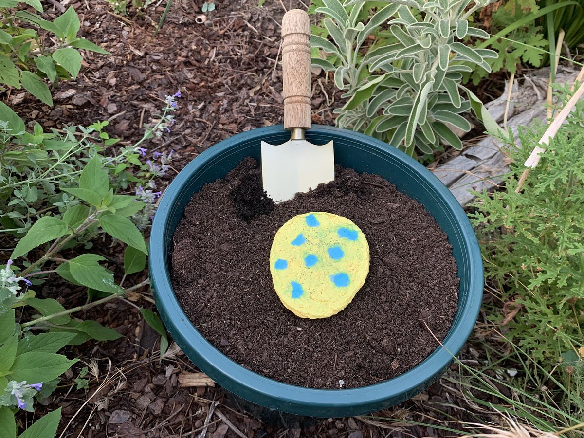 Recycled Seed Card Workshop - Julia Gillard Library Tarneit at Wyndham ...