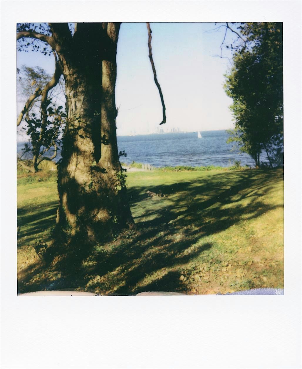 Under The London Planetree: Art Pop-Up with National Park Ranger Kathy ...