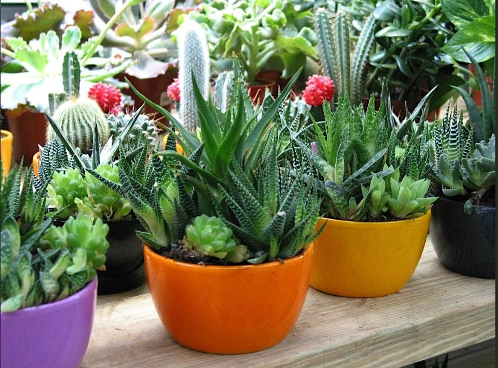 Homeschool and Enrichment 2022 FALL Unit 7: The Engineering of Plants ...