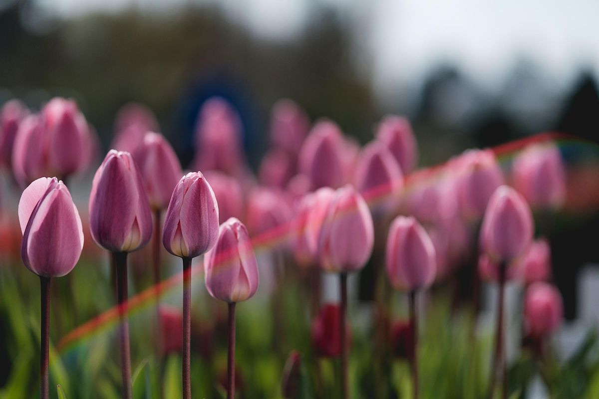 Glazers: Photography Essentials Part 1 | Glazer's Camera, Seattle, WA | June 17, 2023