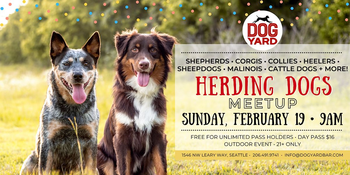 Herding Dog Meetup at the Dog Yard in Ballard - Sunday, February 19 ...