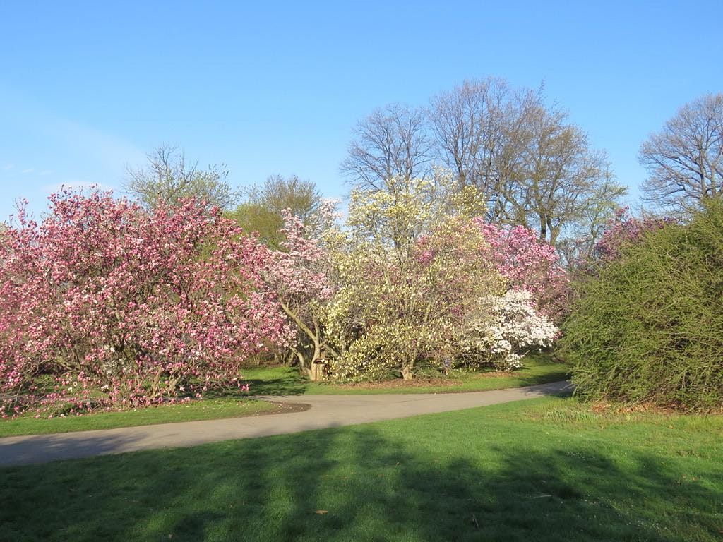 Olmsted Design Walking Tour at In front of Lamberton Conservatory ...